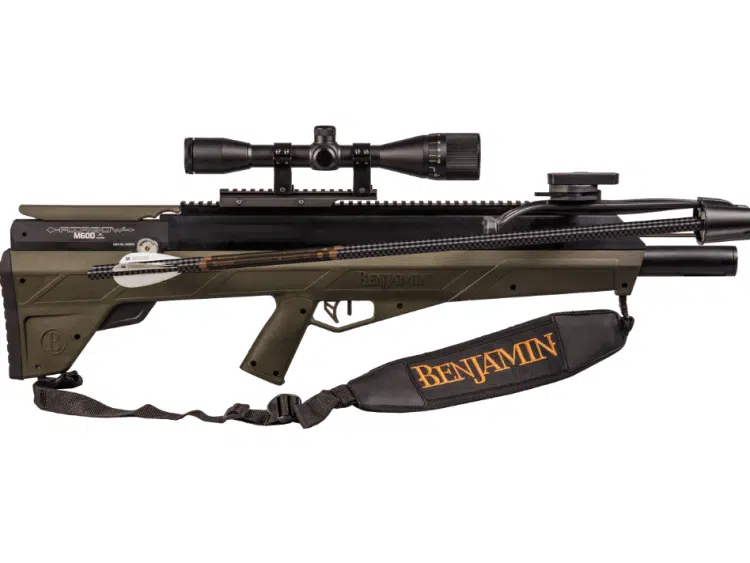 Shop 2 - Airgun Revisions