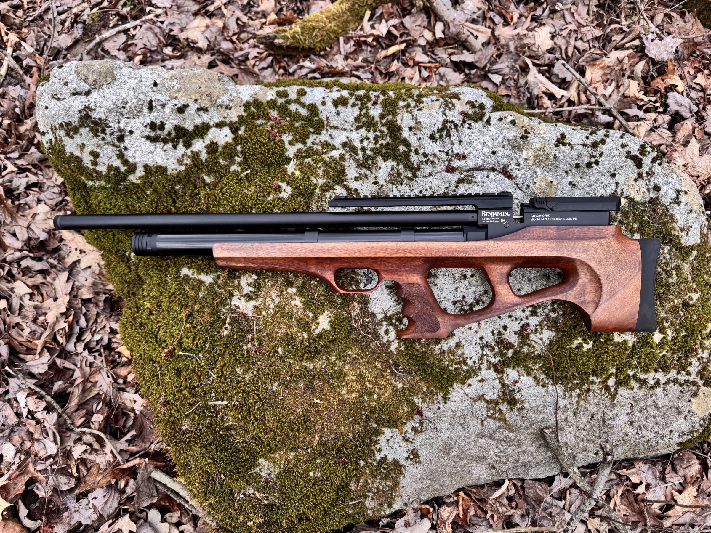 Shop 2 - Airgun Revisions