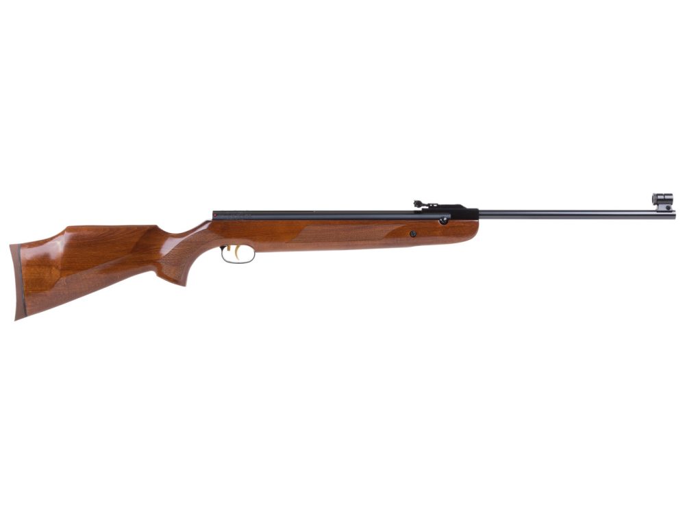 Beeman R9 .22cal - Airgun Revisions