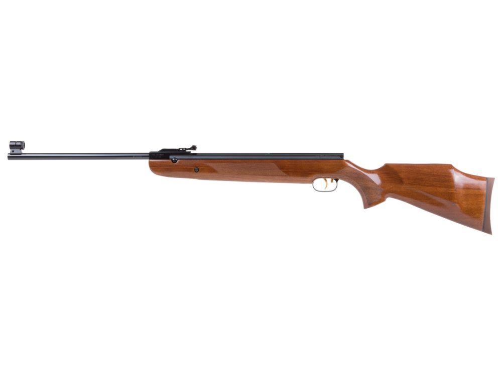 Beeman R9 .22cal - Airgun Revisions